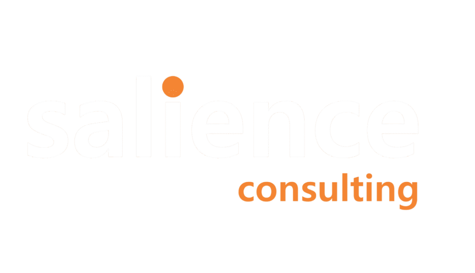 Salience Consulting | Transforming countries and communities